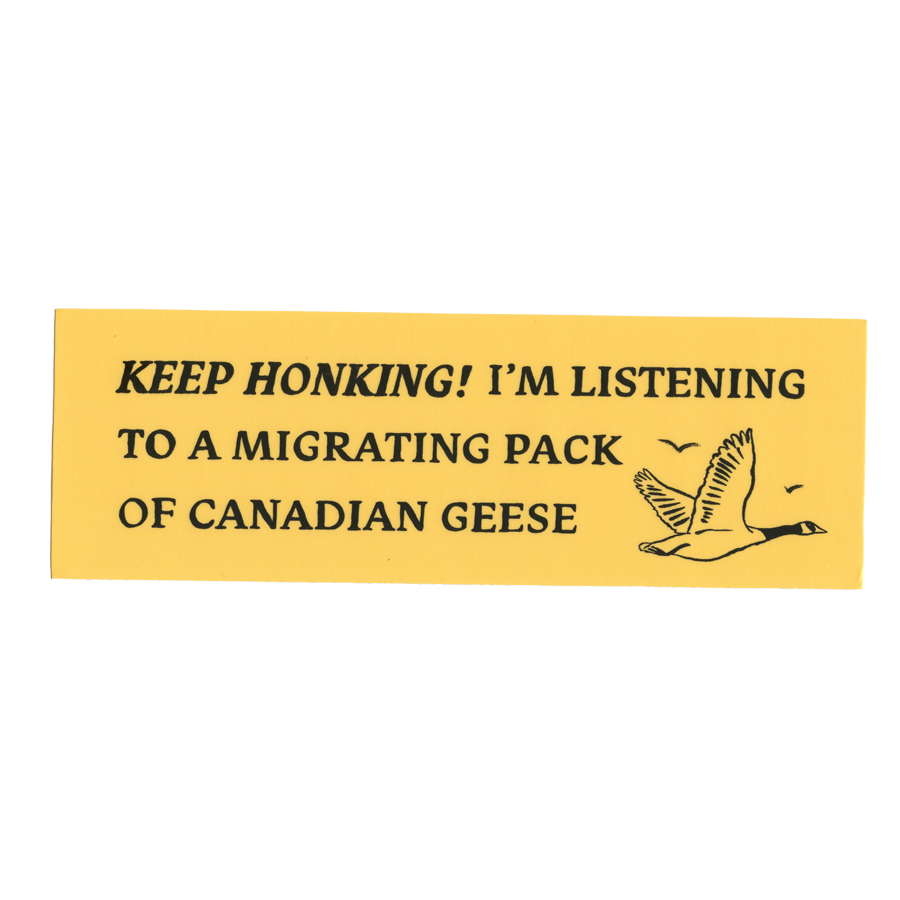 Tess Rubinstein | Canadian Geese - Bumper Sticker – Working Loose